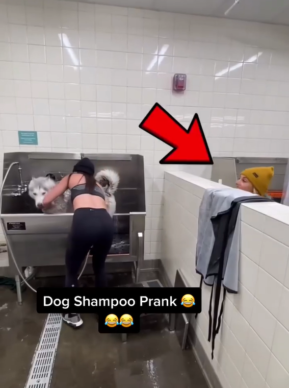 Dog Shampoo Prank Gone Hilarious!