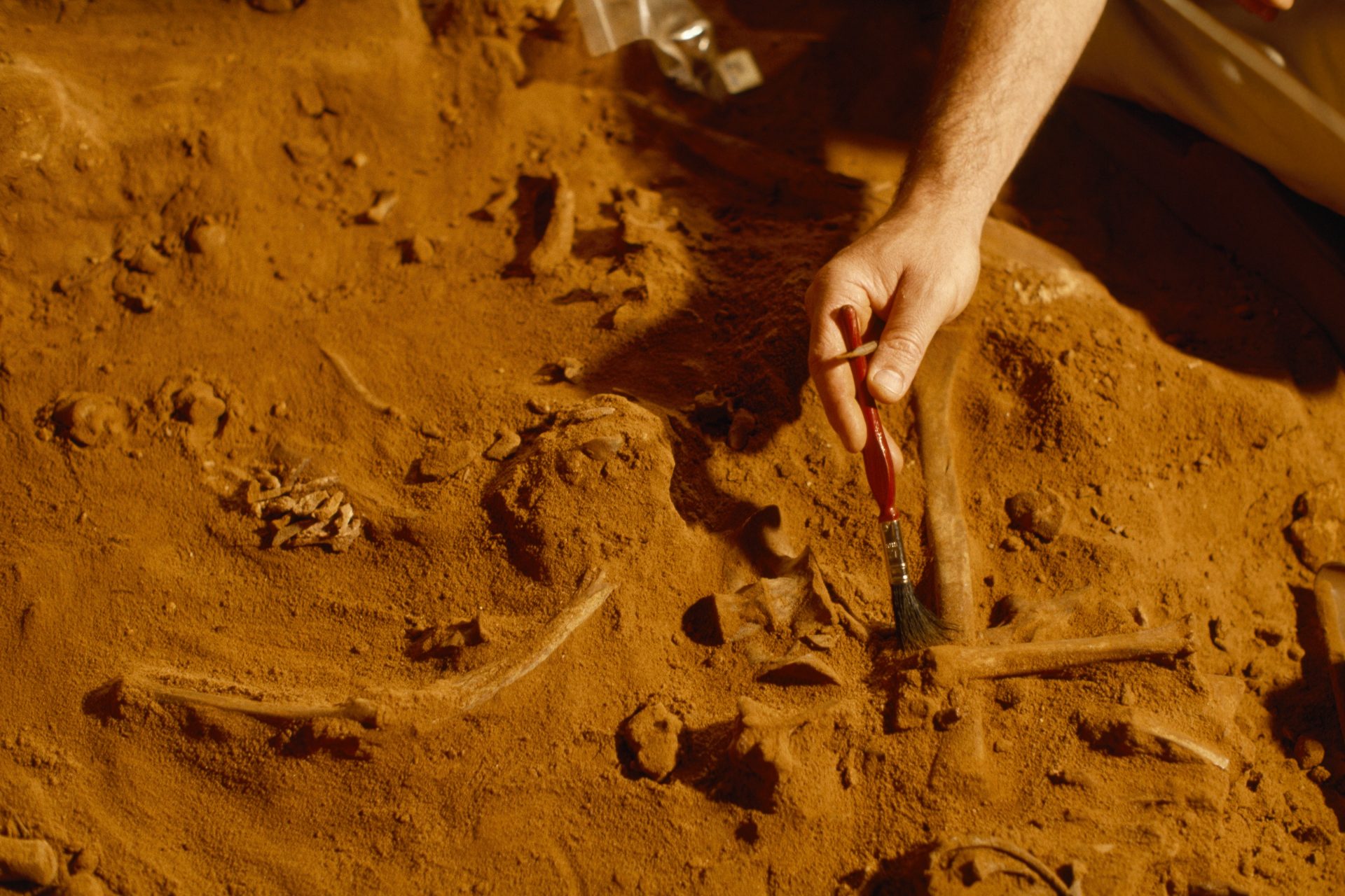 Scientists found an ancient human settlement lost underwater in Indonesia