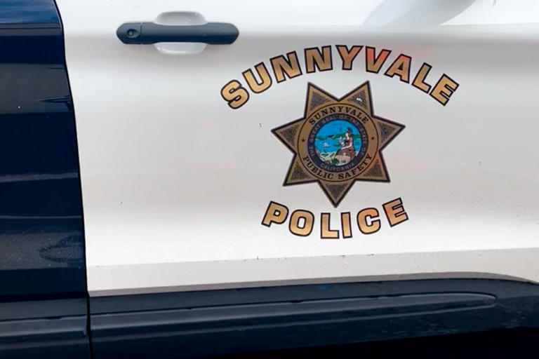 Arrests made after attempted robbery of Sunnyvale jewelry store