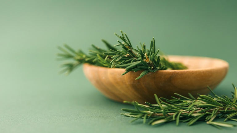 The Right Way To Harvest Rosemary In Your Garden