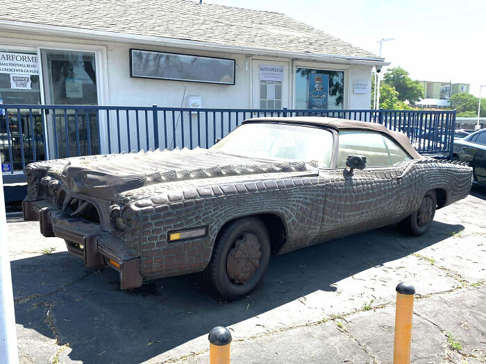 49 Drivers Who Clearly Took “Custom” Way Too Seriously