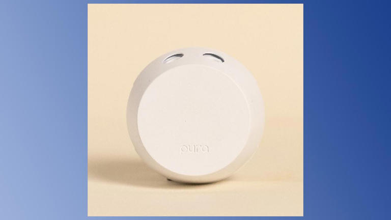 Recall alert: 851K Pura Scents fragrance diffusers recalled