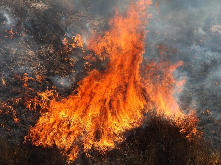 Brush Fire Threatens Multiple Structures Near Campo