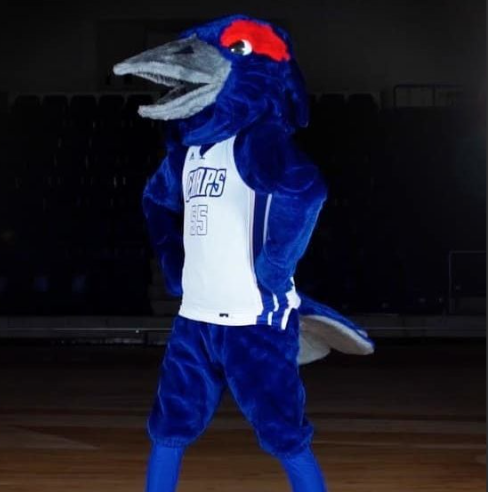 Lubbock’s college mascots: A tale of evolution and enduring spirit