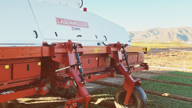 Scientists stunned by results after putting weed-zapping laser to the ...