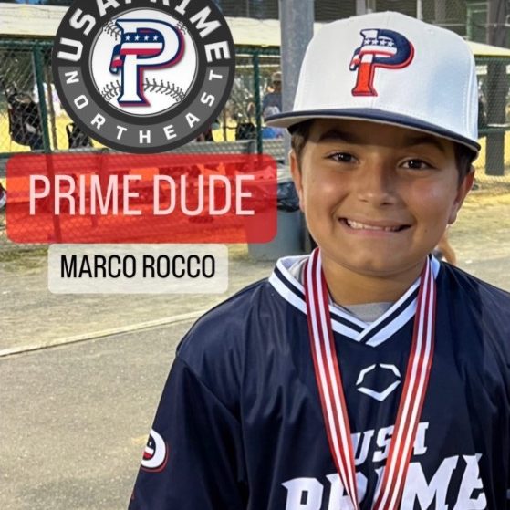 Suspended NJ Little League bat flipper can play in state tournament ...