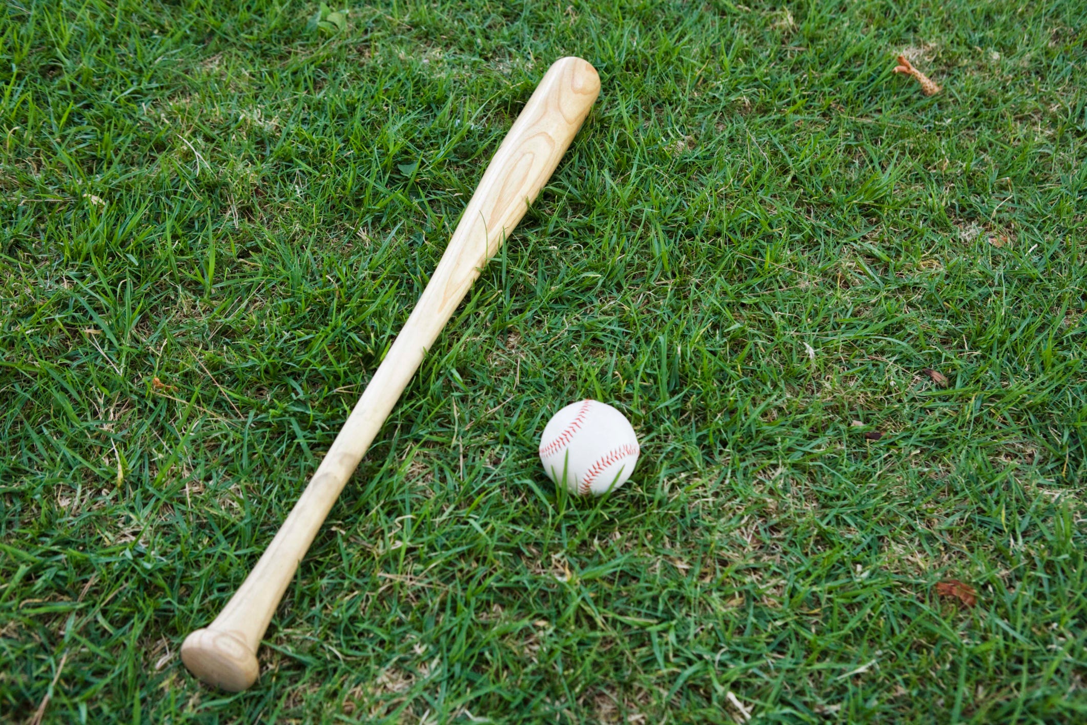 Haddonfield Little Leaguer has reason to celebrate, court clears him to ...