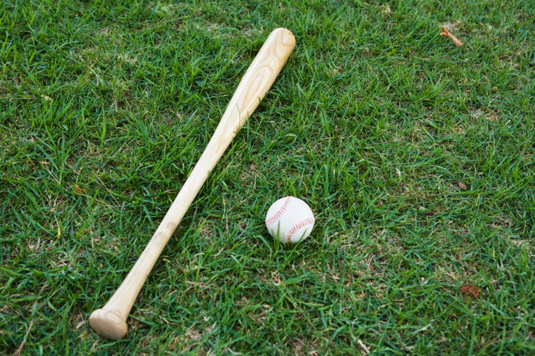 Haddonfield Little Leaguer has reason to celebrate, court clears him to ...