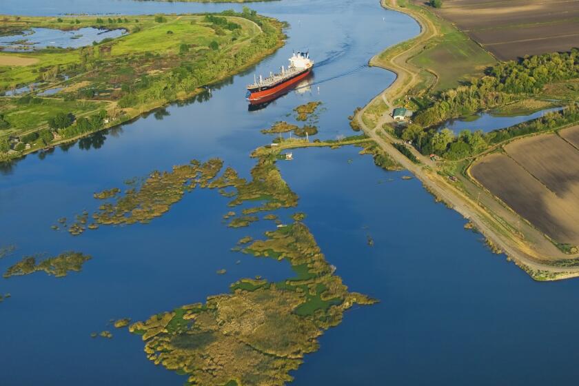 State board backs Newsom's plan to give water agencies more leeway in ...