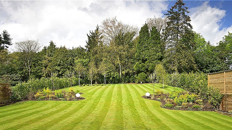 How To Get Fancy Mowing Patterns That Your Neighbors Will Envy