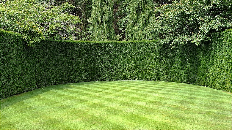 How To Get Fancy Mowing Patterns That Your Neighbors Will Envy