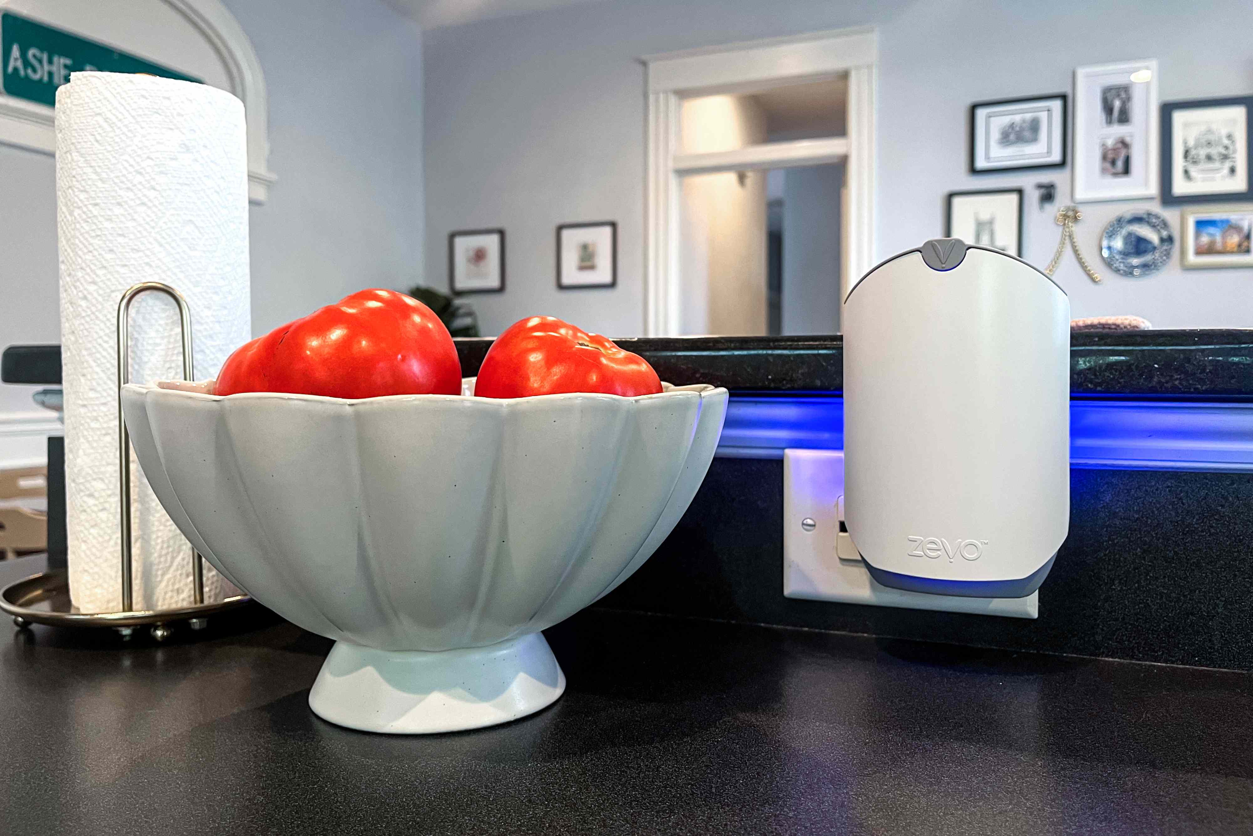 How this $20 fly trap transformed my bug-free kitchen
