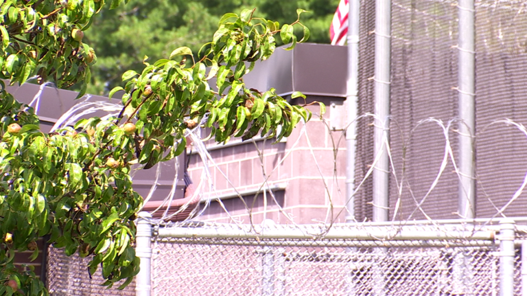 A garden right in their backyard, a Tompkins County prison gives ...