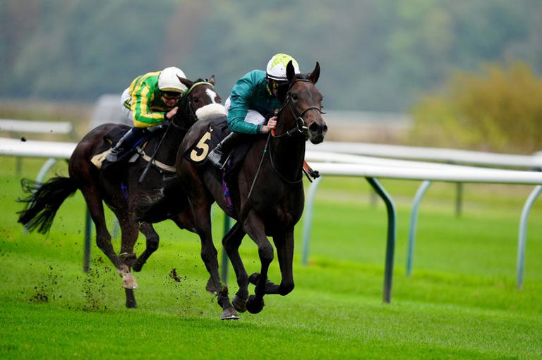 'She looks geared up to score on ground she will enjoy' - Jason Heavey ...