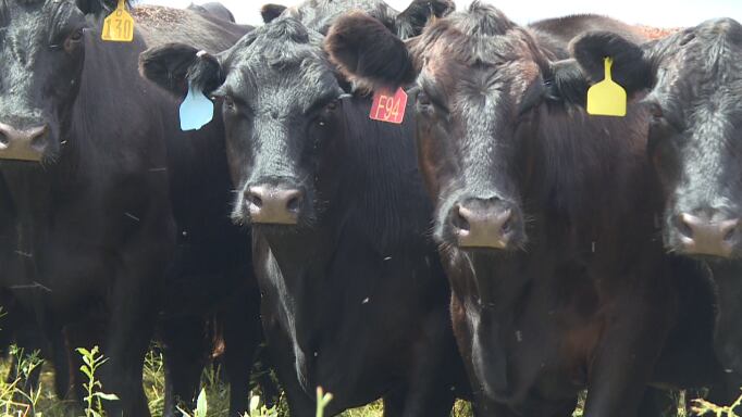 Kansas City announced as regional hub in USDA reorganization