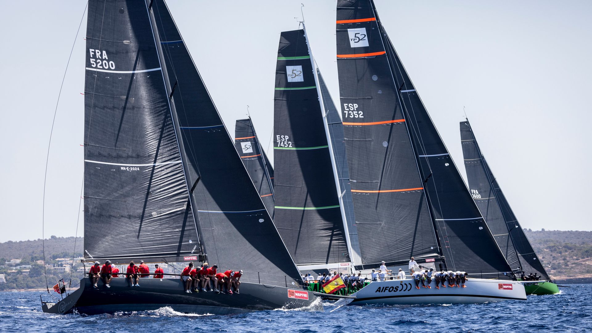 El rey Felipe y Javier Banderas pelearán por el podio en la Copa del ...