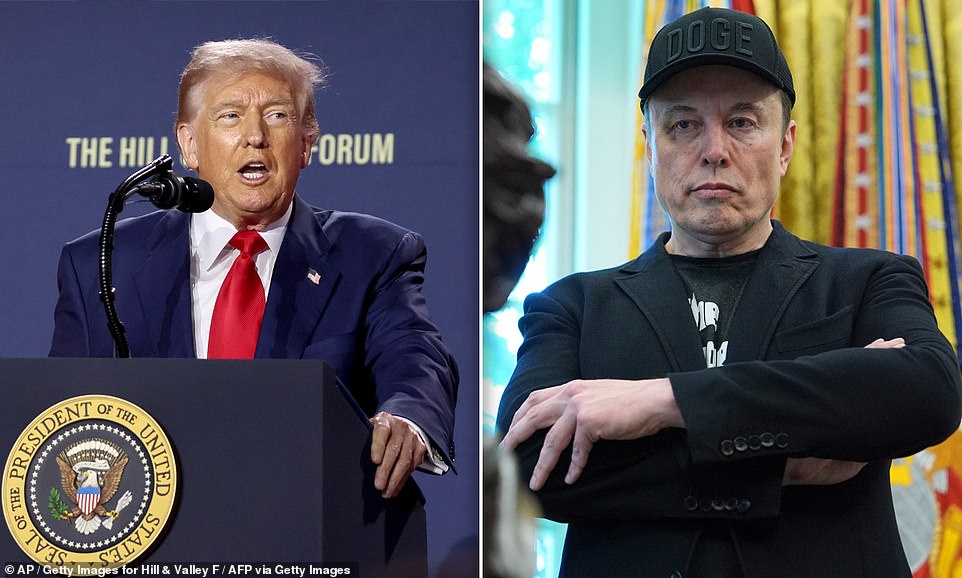 Trump fires back at reports he's trying to destroy Musk's companies