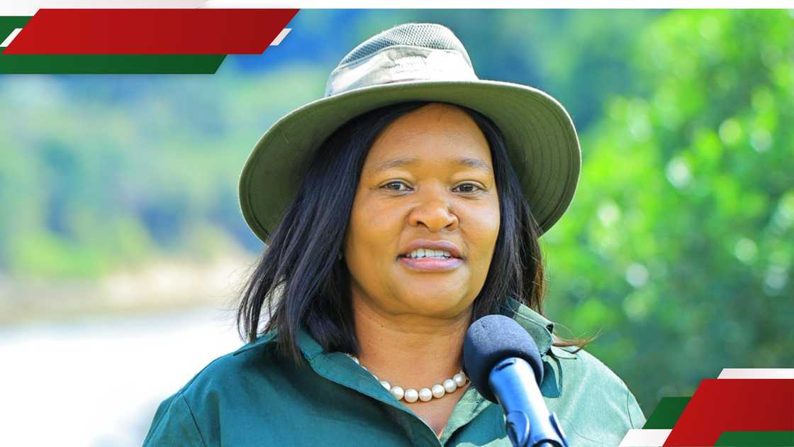 Kenya showcases the great wildebeest migration to the world