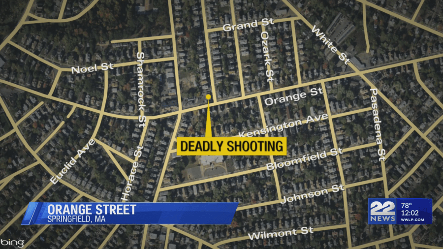 Springfield resident faces murder charge in Orange St. shooting