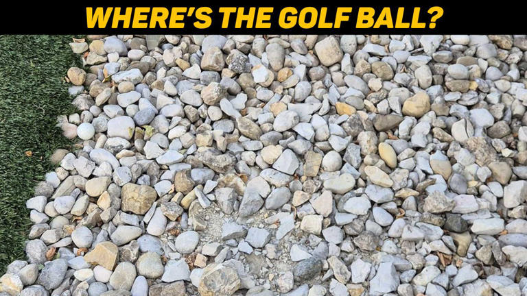 You have sniper eyes if you can find the golf ball in 5 seconds!