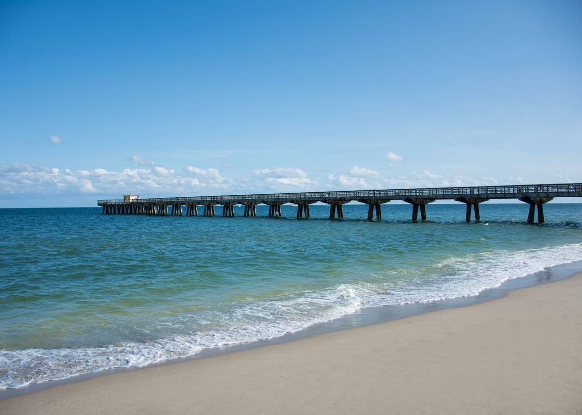 ‘Cryptic' 7-foot-long sea creature found on beach in Florida. It's a ...