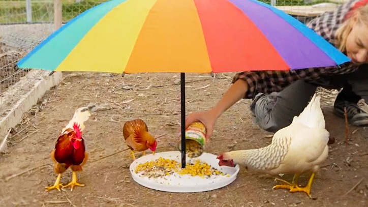 Simple ideas to uplift the farm life 🦆