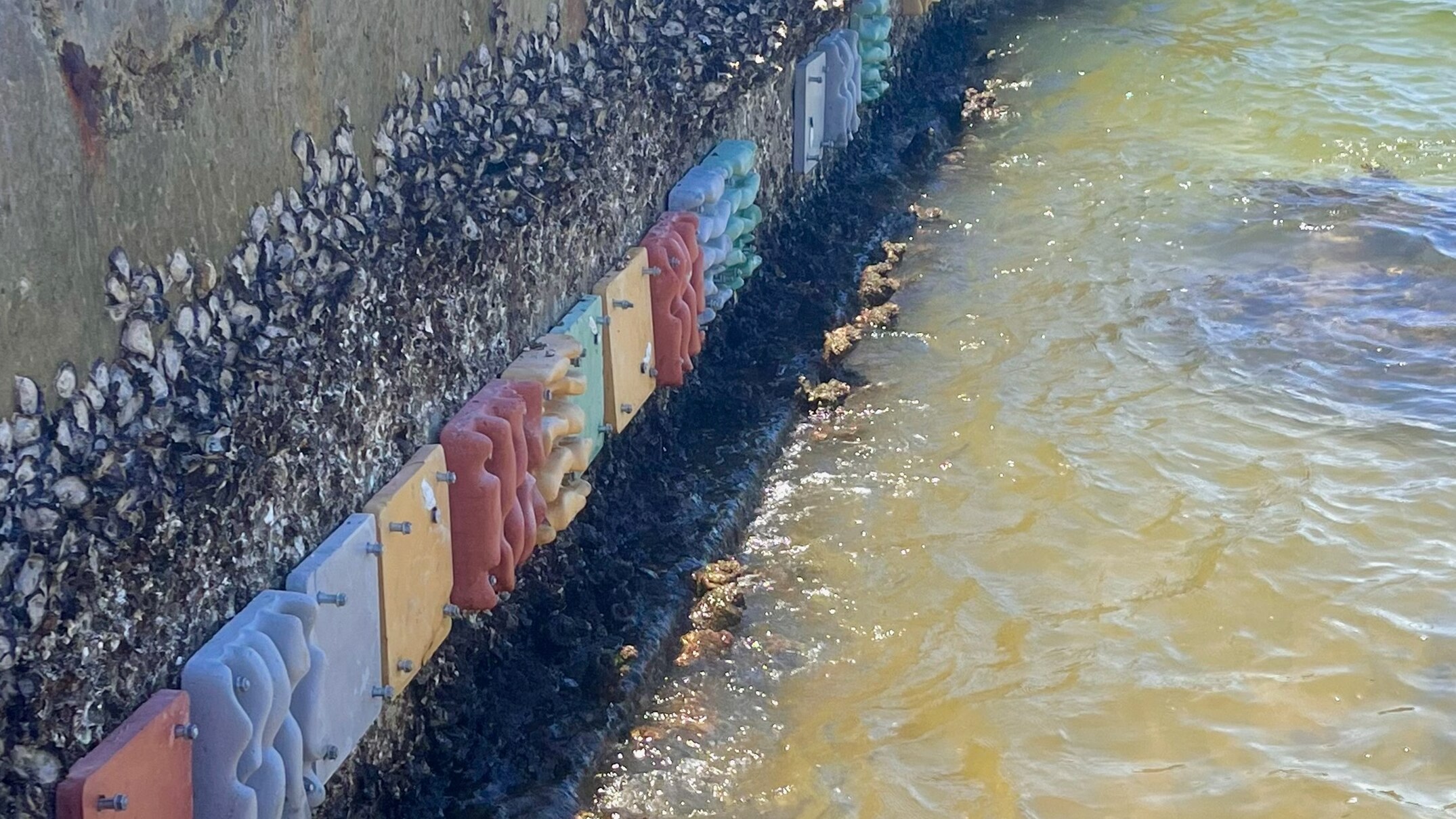 Scientists believe new colourful concrete on Sydney Harbour seawall ...