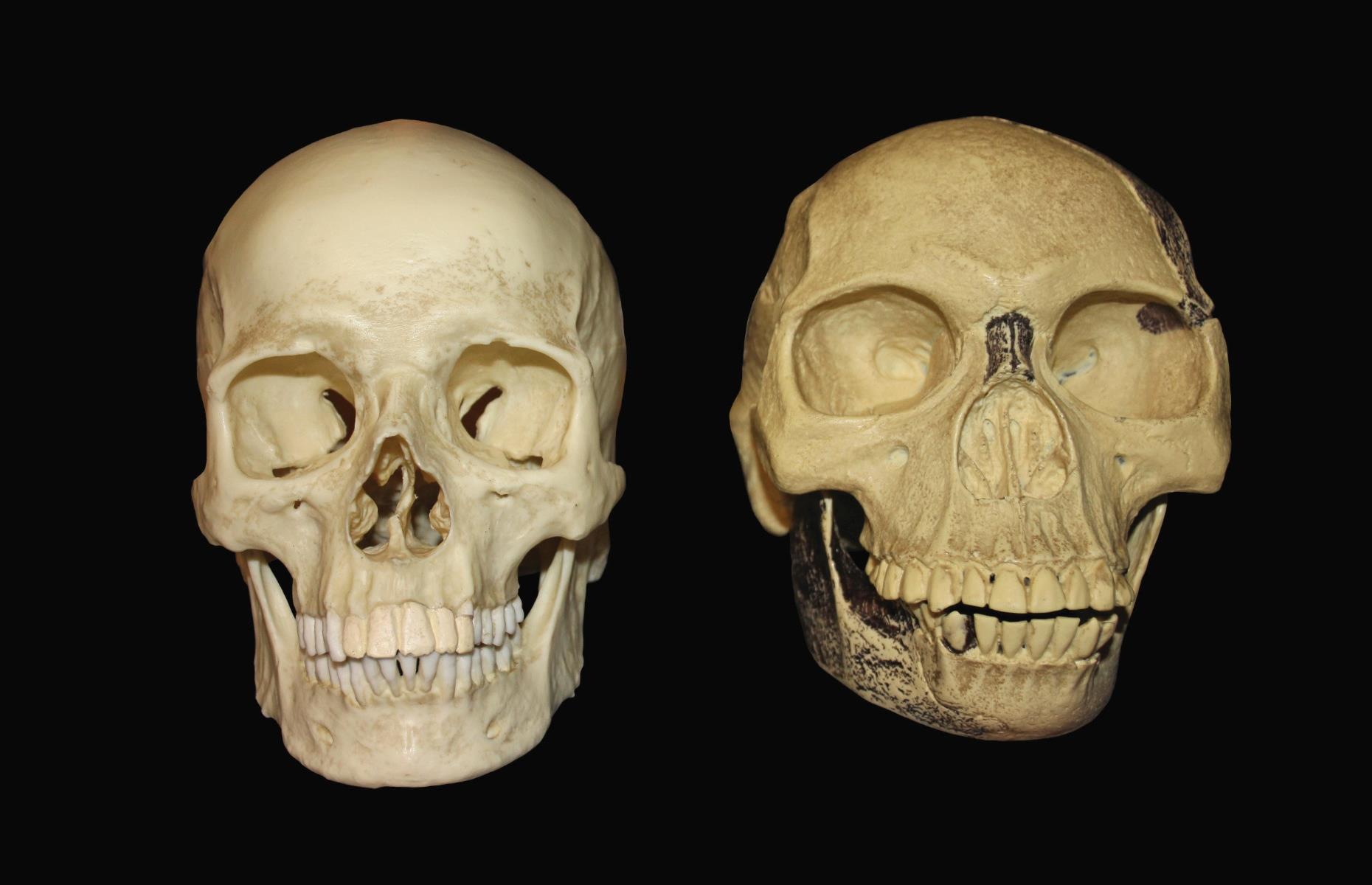 The most infamous archaeological hoaxes in history