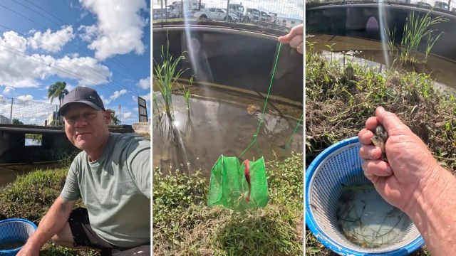 Dad becomes local hero with $6 solution to widespread problem: 'By the ...