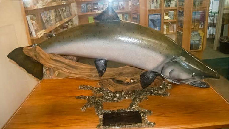 Ultimate Guide to Fishing Alaska’s Kenai River for Salmon and Trout