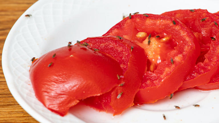 Here Is The Best Place To Put Your Trash Can If You Want Less Fruit Flies