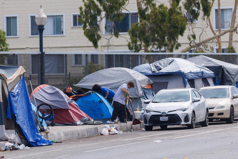 Trump’s Plan to Solve Homeless Crisis: Force People Into Psychiatric ...