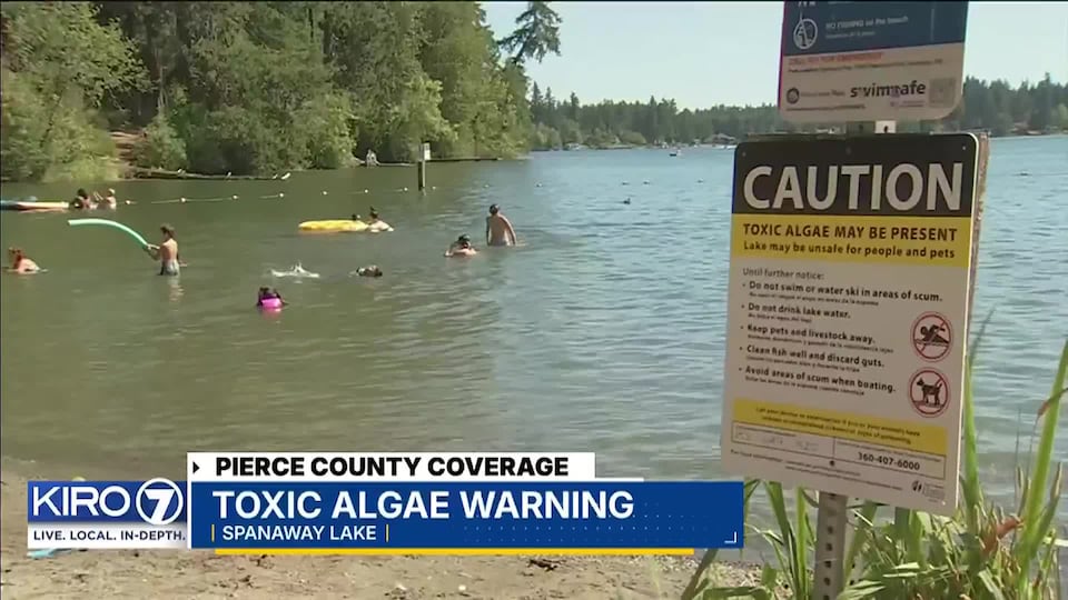 VIDEO: Water advisory for toxic algae Spanaway Lake