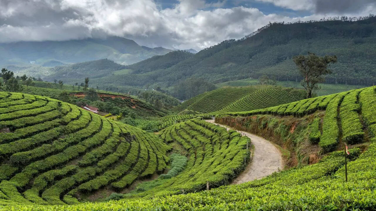 10 places in India that are stunningly beautiful in monsoons