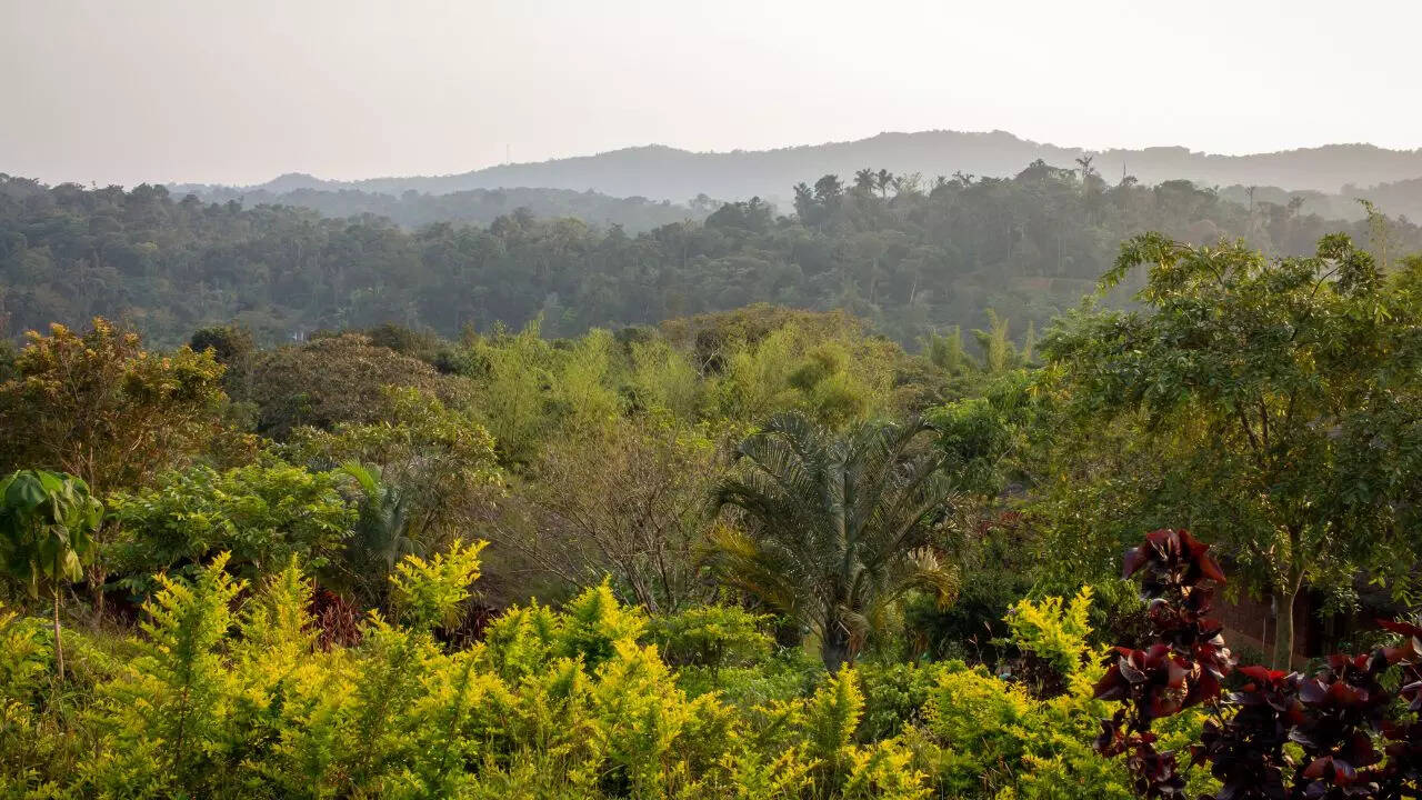 10 places in India that are stunningly beautiful in monsoons