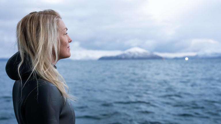 Green Screen Eckernförde 2025: Alles zu Programm, Highlights, Tickets