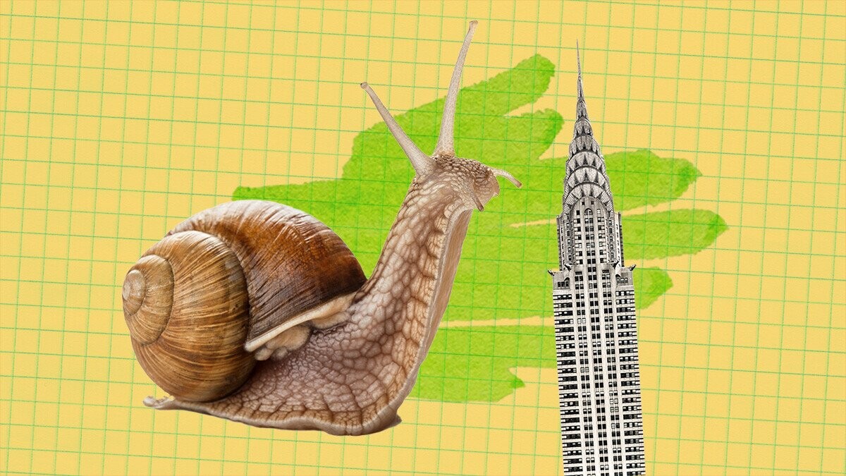 28 Deep Fried Facts Just a Tad Overcooked