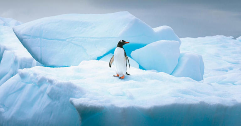 1.5 Million-Year-Old Ancient Block of Ice From Antarctica Will be ...