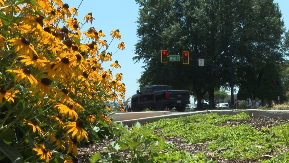Kingsport selected for state-wide 'Excellence in Development' award