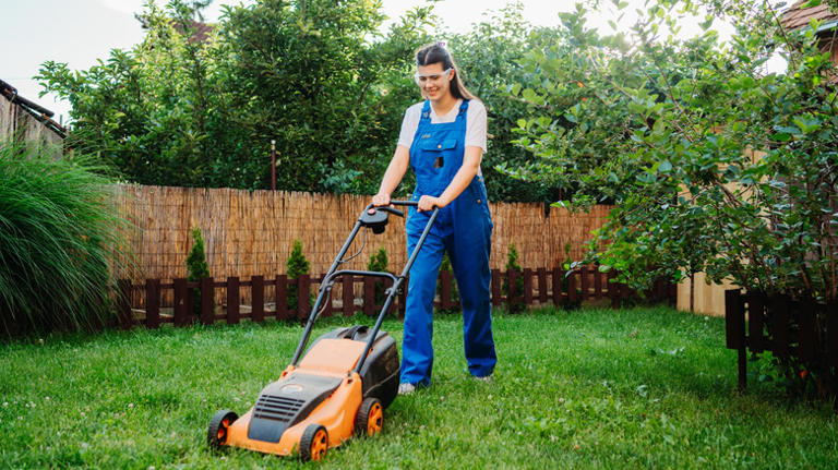 Keep Giant Ragweed From Taking Over Your Yard With These Tips