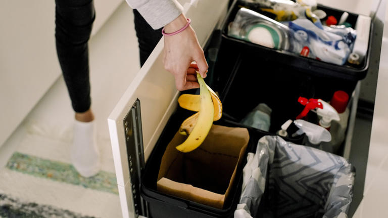 Here Is The Best Place To Put Your Trash Can If You Want Less Fruit Flies