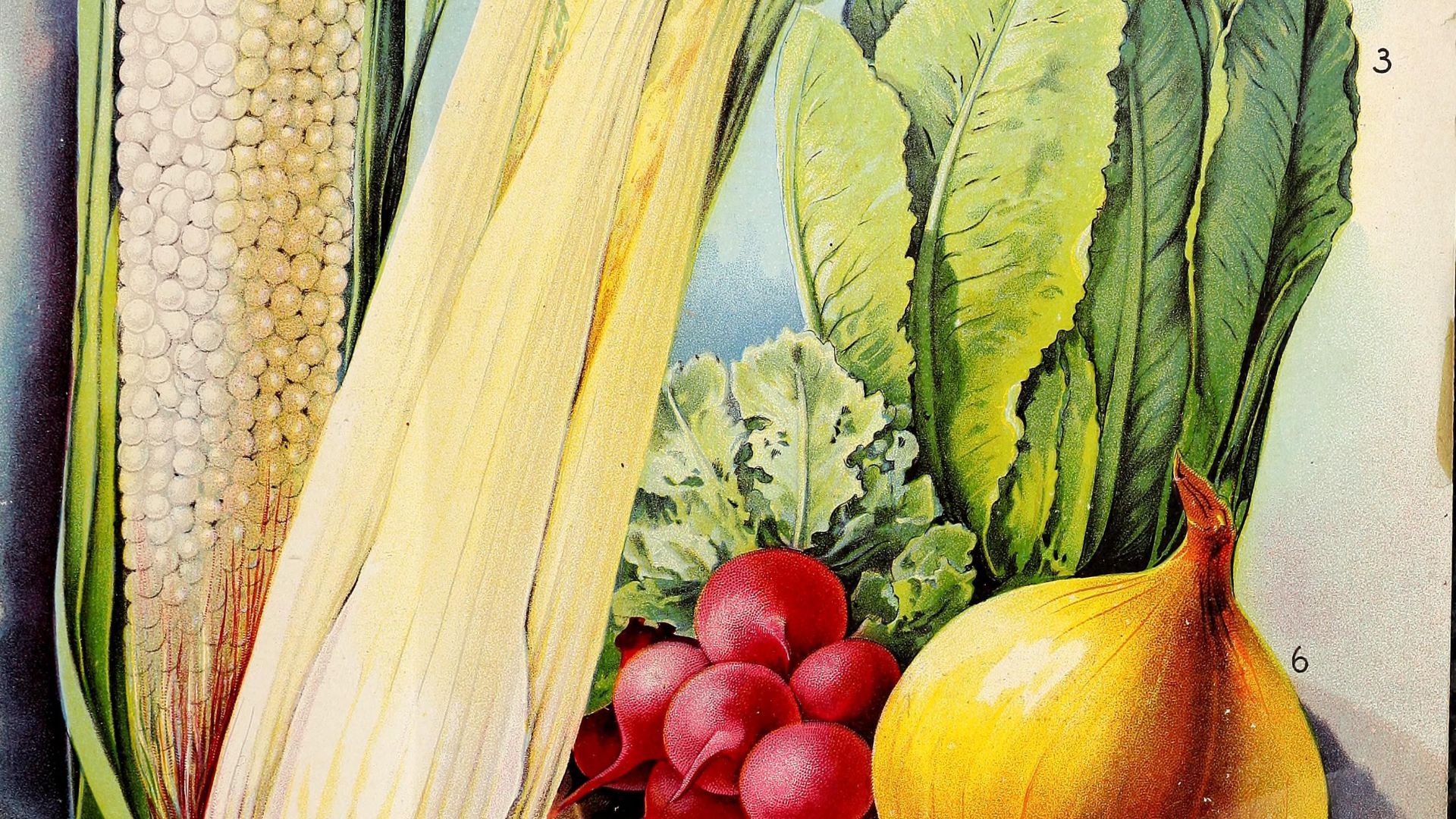 20 Foods That Defined Each American Decade