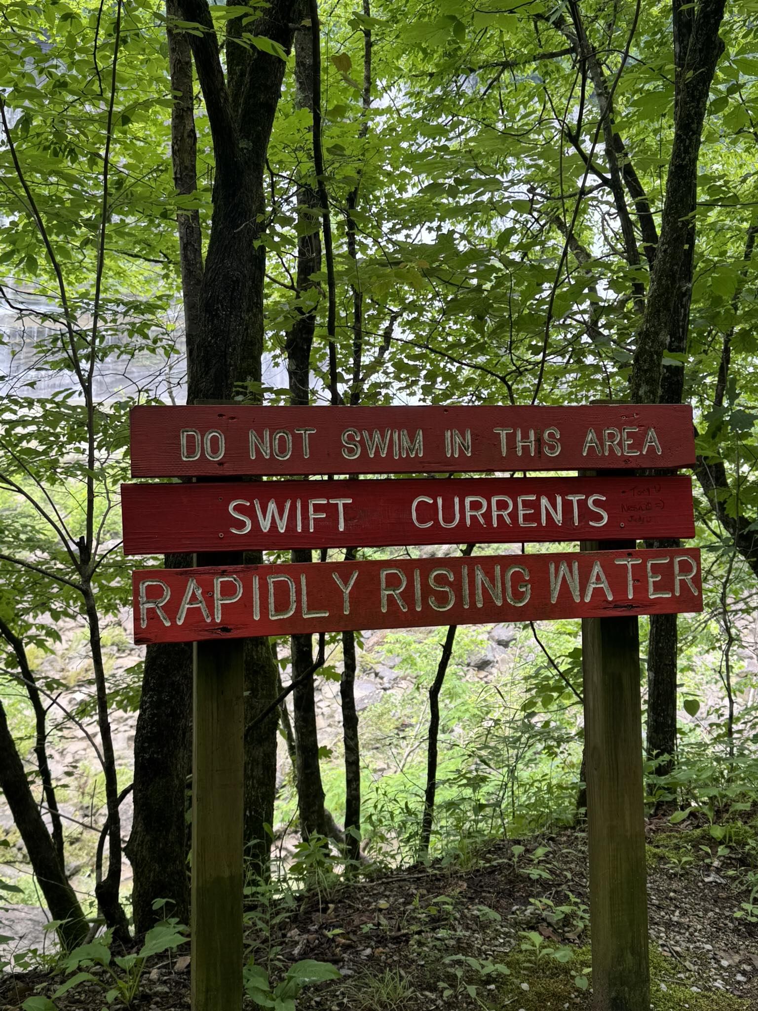 Swimmer rescued after being swept away by current in TN river