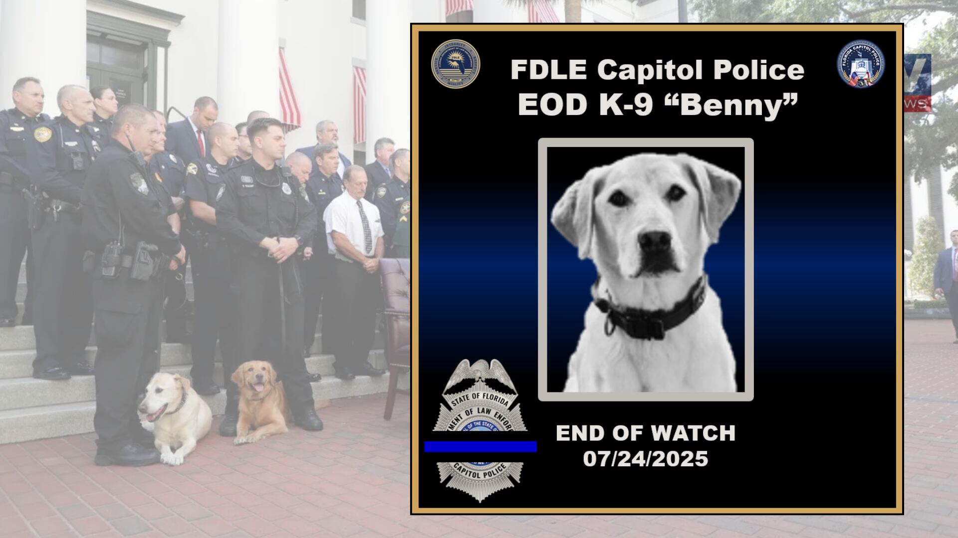 FDLE: K-9 Benny laid to rest Thursday, remembered for ‘endless courage ...