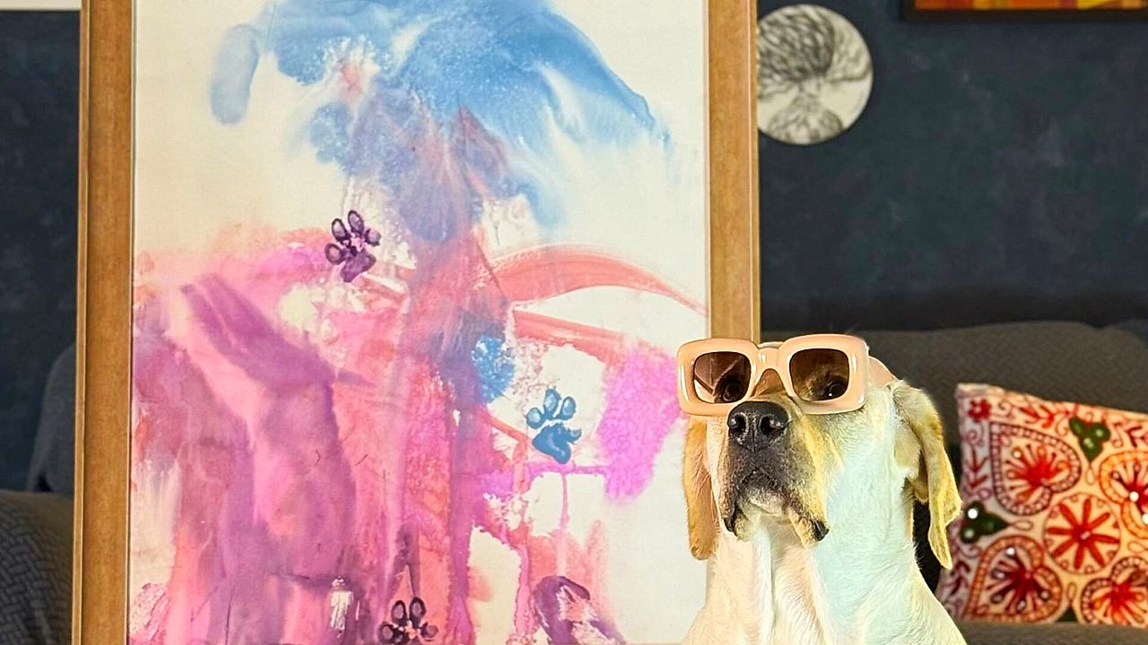 Rescued dog becomes India's first dog artist painting for charity