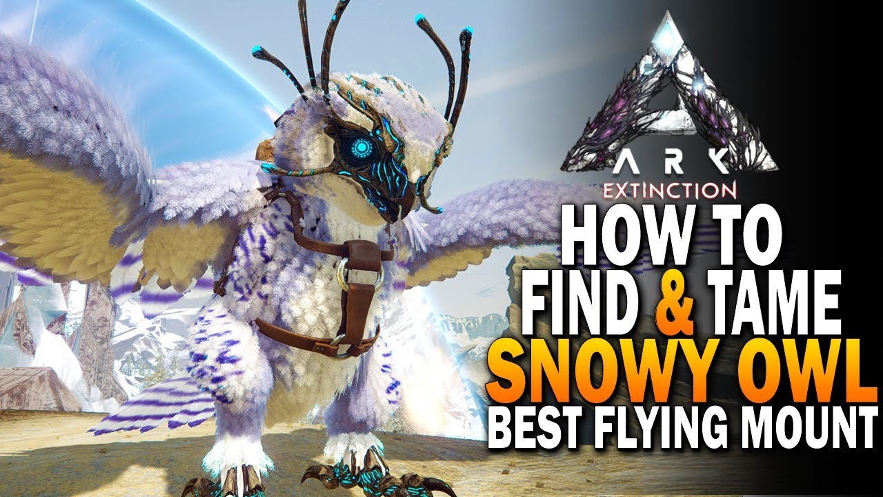 Where To Find & How To Tame Snowy Owls & Snowy Owl Breeding! Best Mount ...