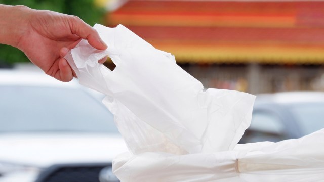 National study reveals surprising impacts of controversial plastic bag ...