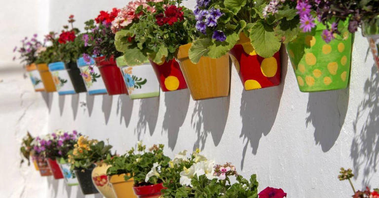 Guía completa para pintar macetas de barro y personalizarlas paso a paso