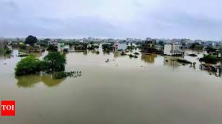 Met dept puts Vidarbha on red alert, orange for Nagpur; schools shut, 60 rescued from flood-hit ...
