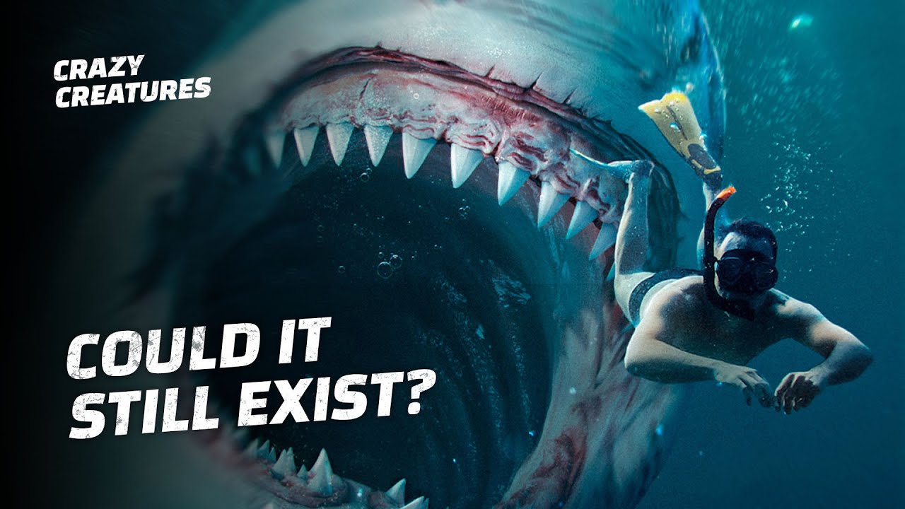 Exploring the Legend of the Megalodon
